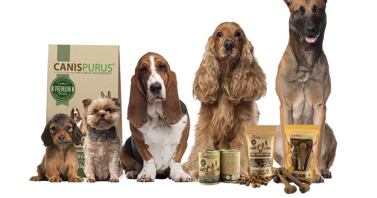 Dogs and Stones | Canis Purus